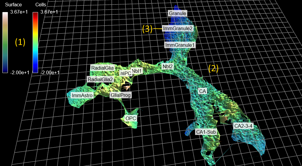Manual - CellMapViewer